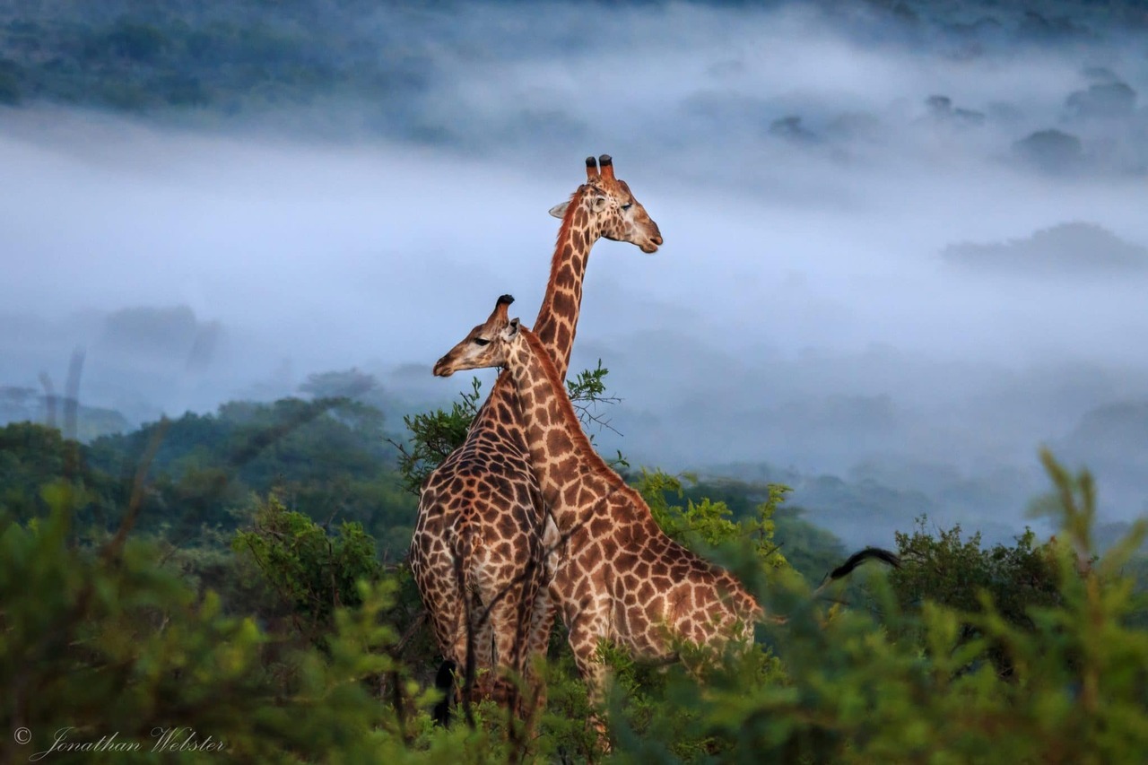 St. Lucia/ Hluhluwe – Perfectify Travel